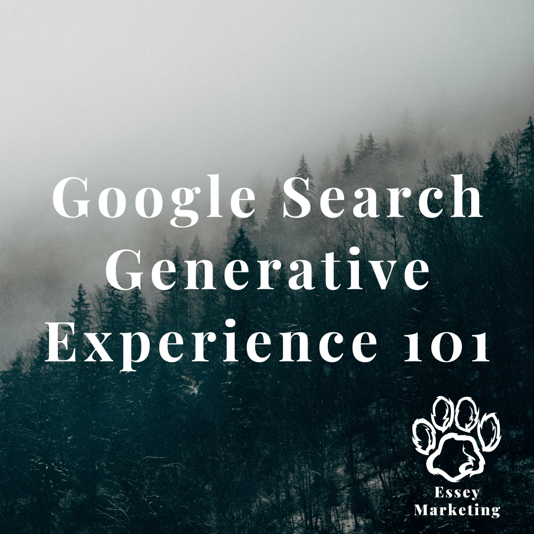 Google Search Generative Experience 101 | Essey Marketing