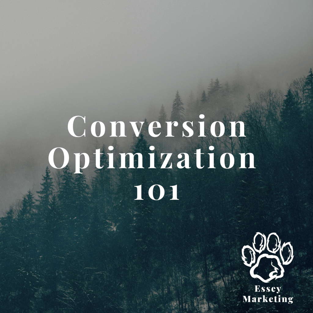 Conversion Optimization 101 | Essey Marketing